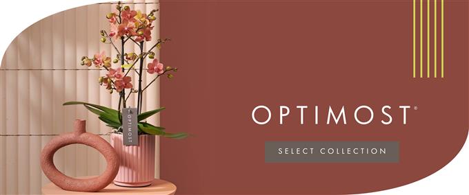 Startpagina | Opti-flor